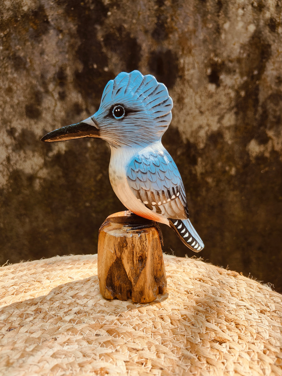 Kingfisher Bird – Rangeela Goa
