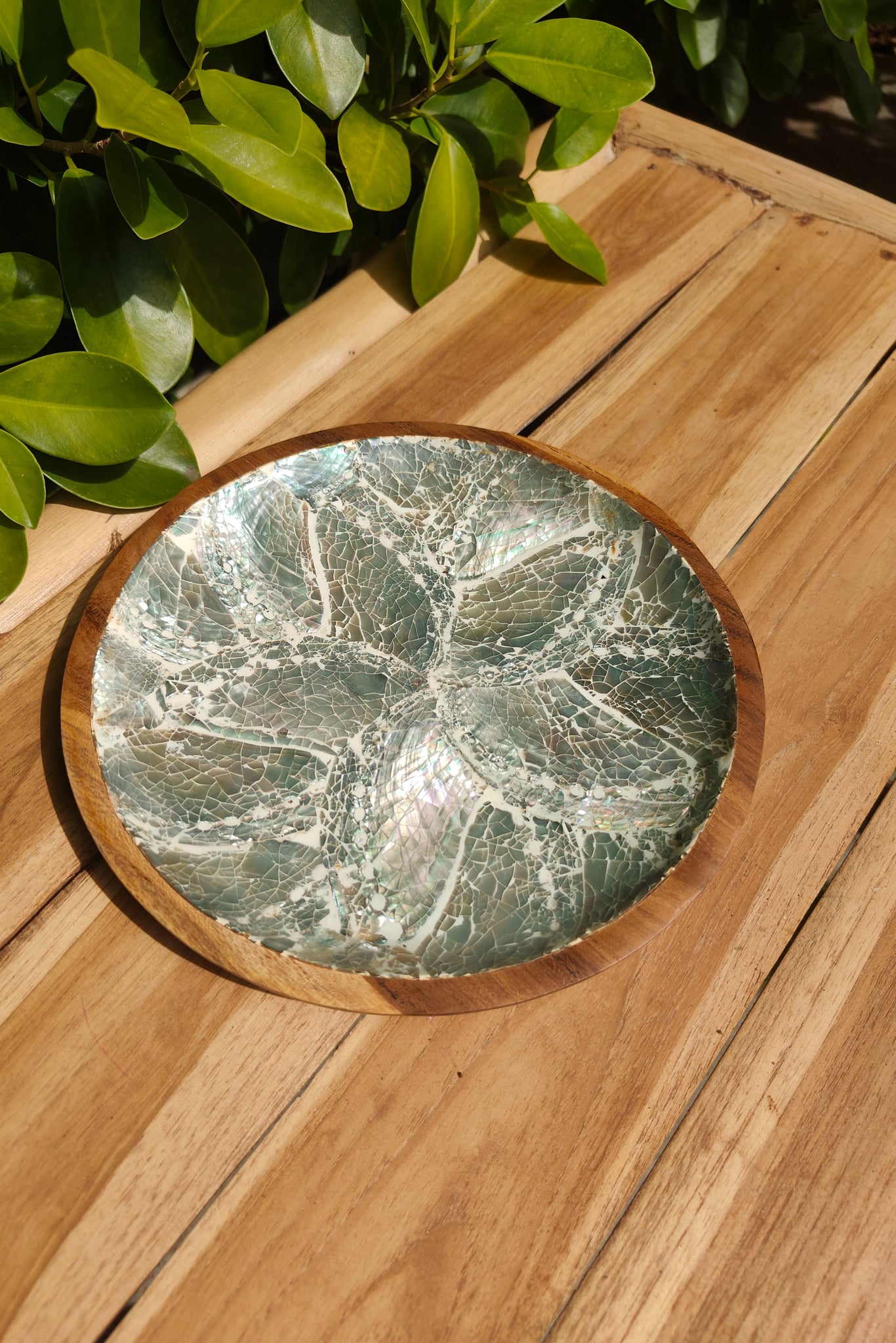Abalone Plate – Rangeela Goa
